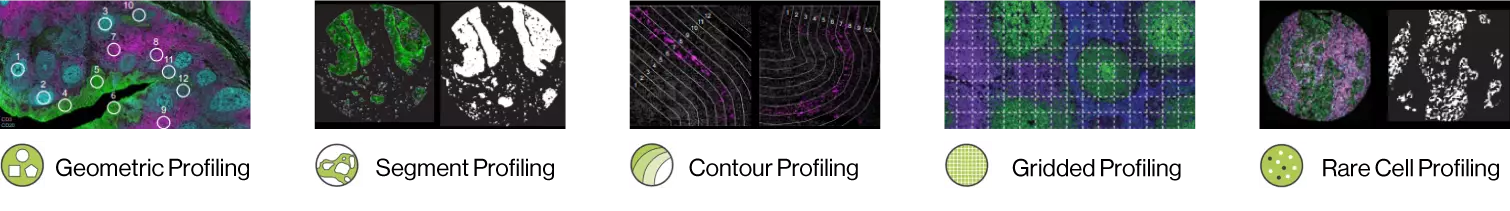 NanoString GeoMx Services | Spatial Transcriptomics