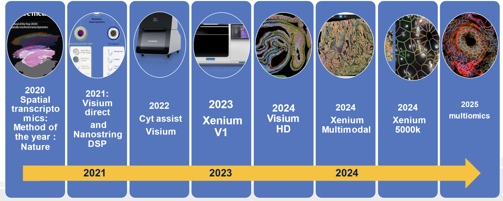 About BioChain Spatial | Spatial Biology Innovators